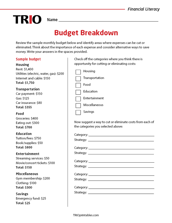 Budget Breakdown Activity Sheet – TRIO Printables