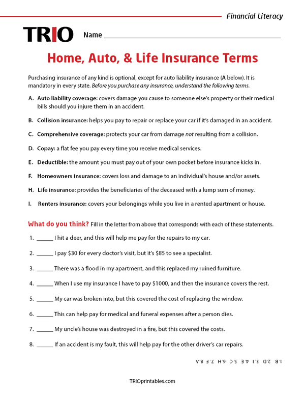 Home, Auto, & Life Insurance Terms Activity Sheet – TRIO Printables