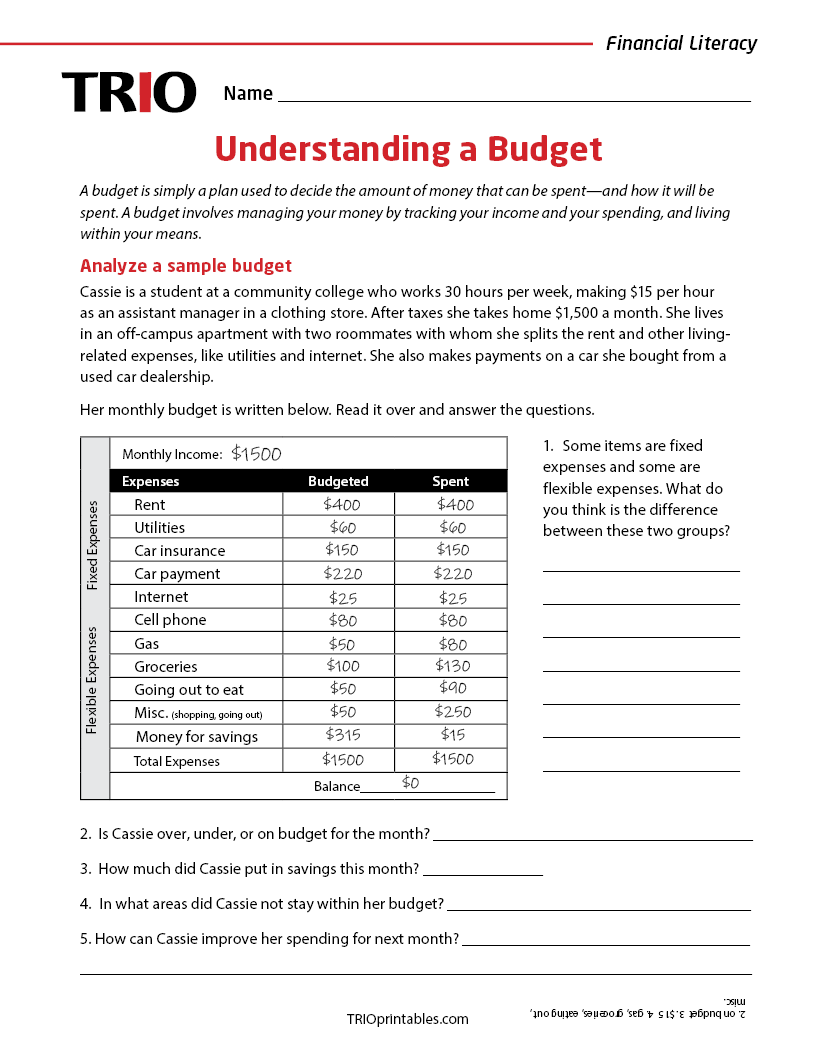 Understanding a Budget Activity Sheet – TRIO Printables